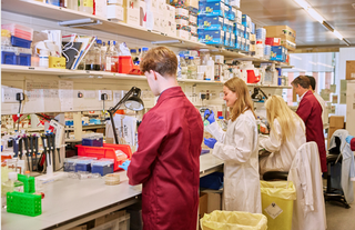 Make a transformative impact with your donation to blood cancer ...