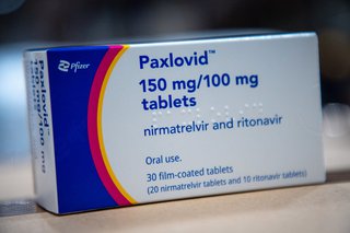 Paxlovid rebound - what we know | Blood Cancer UK