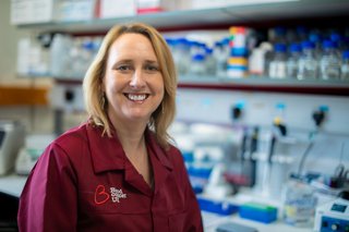 Finding a less harmful way to treat blood cancers caused by the Epstein ...