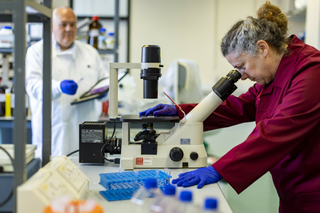 Hodgkin lymphoma diagnosis and staging | Blood Cancer UK